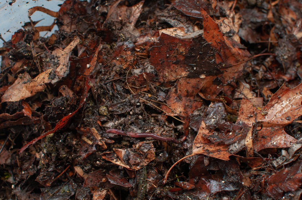 Composting Guide for A New Gardener – Gingerfoot Garden