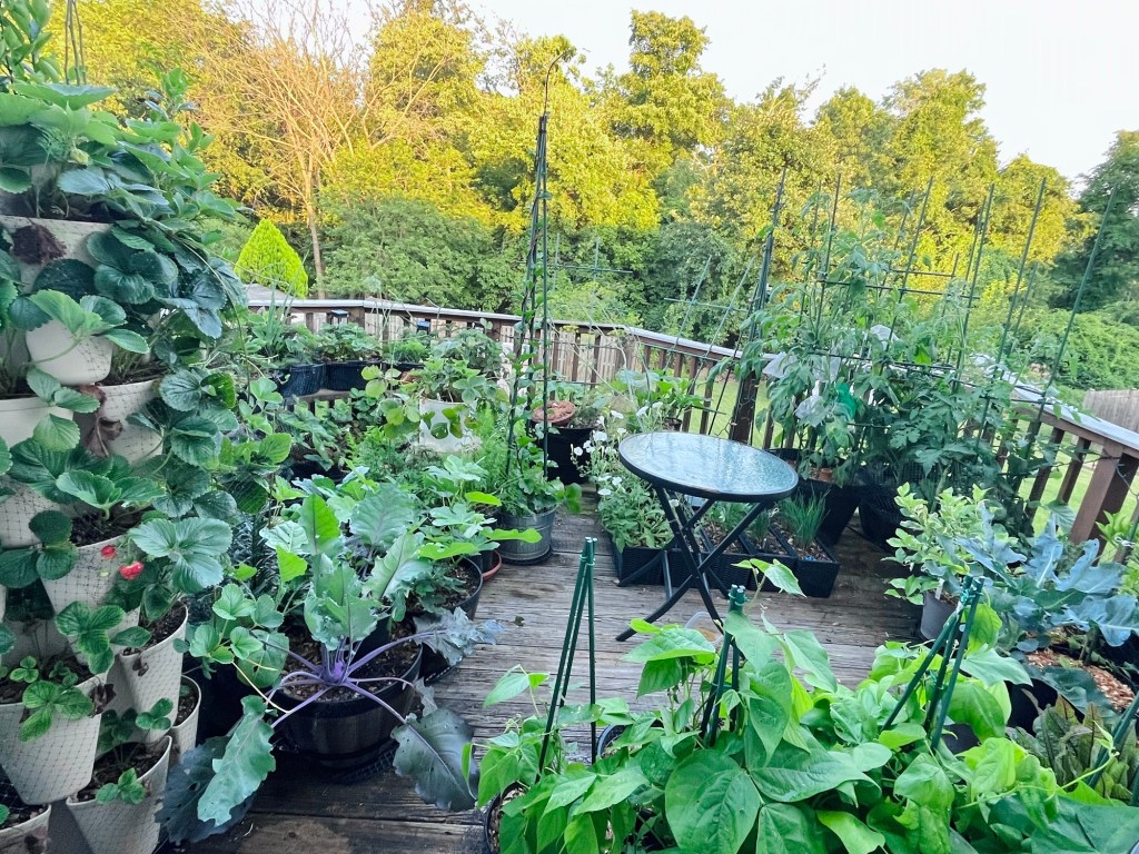 Crop Rotation for Small Space Gardens – Gingerfoot Garden