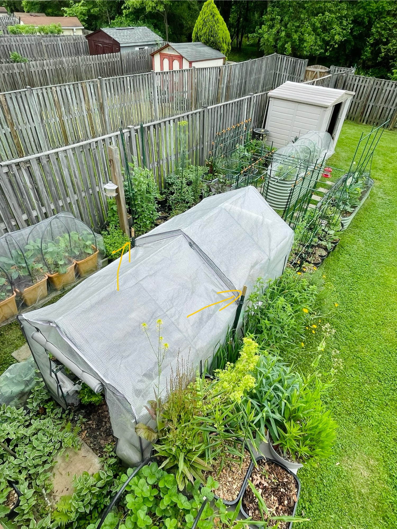 Are Temporary Greenhouses Worth it? – Gingerfoot Garden