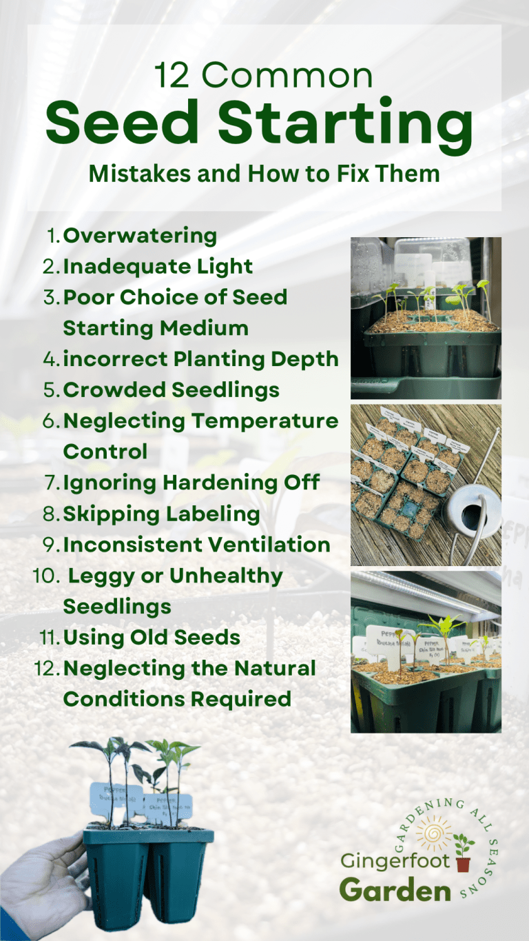 12 Common Seed Starting Mistakes & How to Fix Them – Gingerfoot Garden