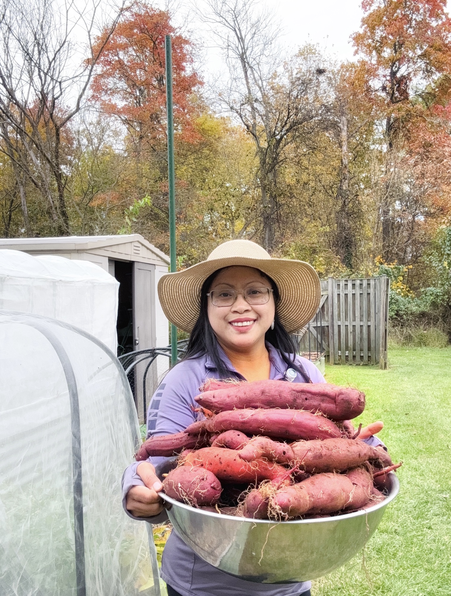 How to Grow Sweet Potatoes in a Small Garden: From Tuber to Table ...