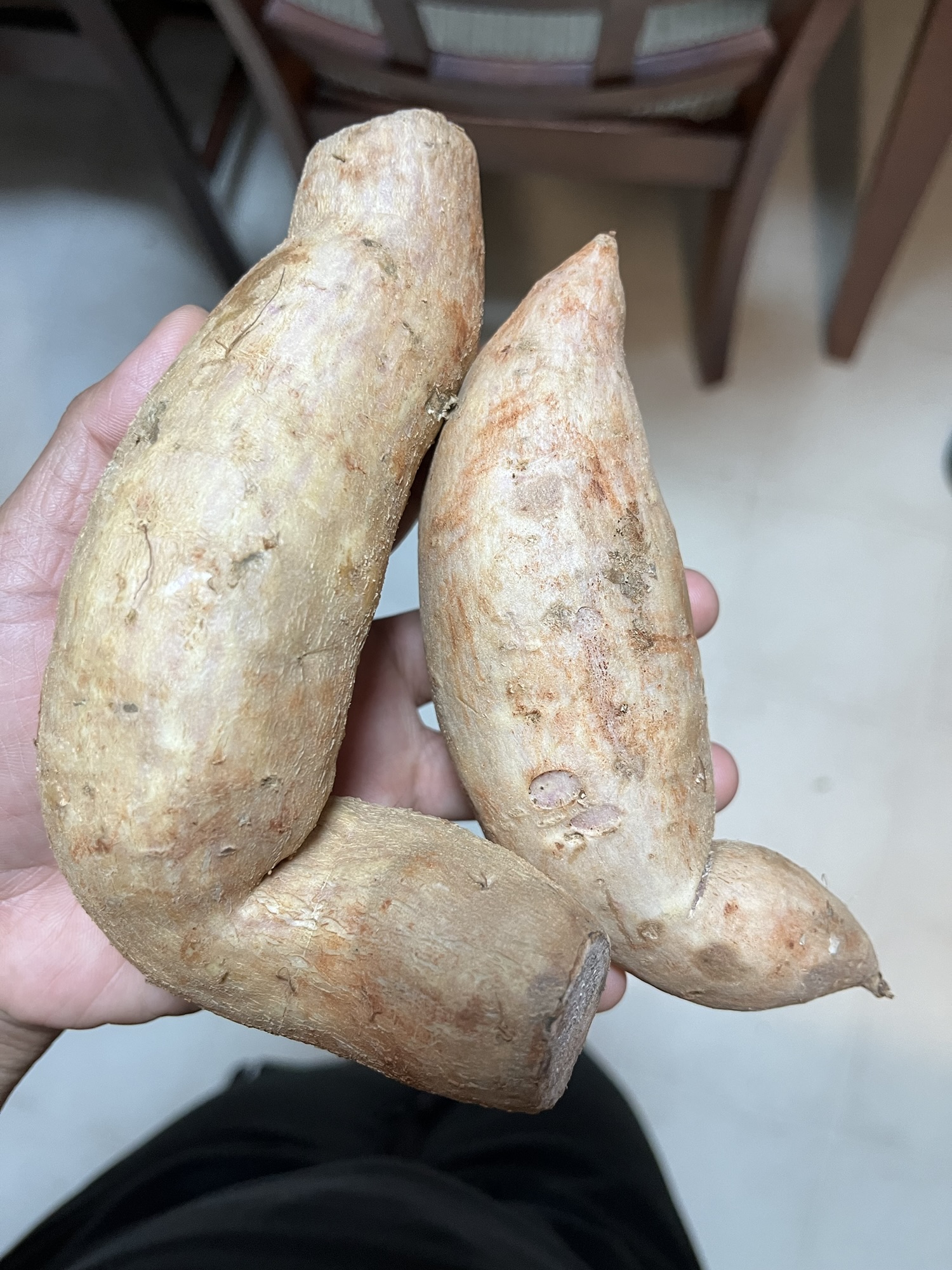 How to Grow Sweet Potatoes in a Small Garden: From Tuber to Table ...
